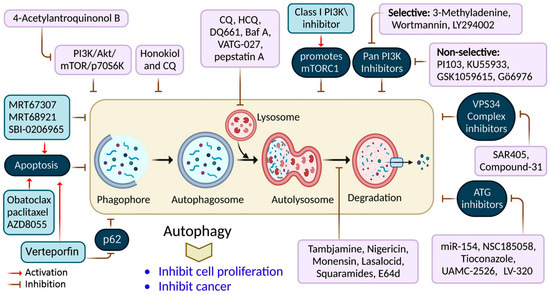 Recent Update and Drug Target in Molecular and Pharmacological Insights ...