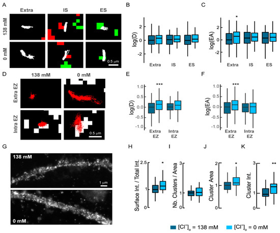 Lateral Diffusion of NKCC1 Contributes to Chloride Homeostasis in ...