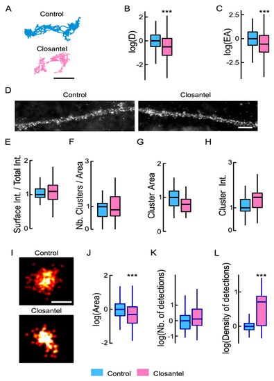 Lateral Diffusion of NKCC1 Contributes to Chloride Homeostasis in ...