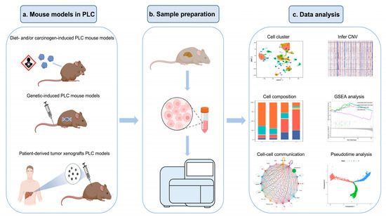 Single-Cell Analysis of Primary Liver Cancer in Mouse Models