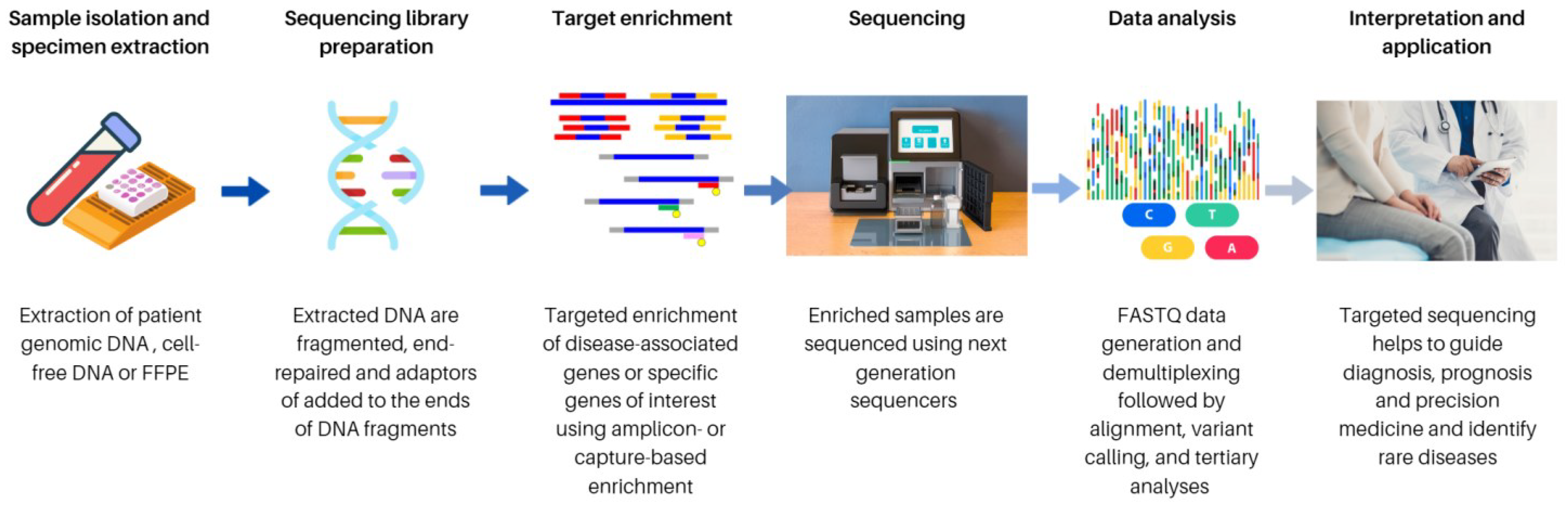 Cells Free Full Text Targeted Sequencing Approach And Its Clinical
