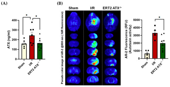 Endothelial Specific Deletion of Autotaxin Improves Stroke Outcomes