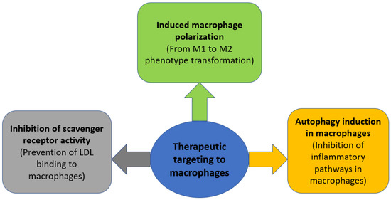 The Role of Macrophages in the Pathogenesis of Atherosclerosis