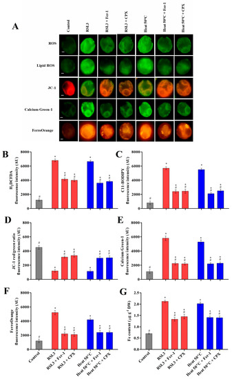 Lipid ROS- and Iron-Dependent Ferroptotic Cell Death in Unicellular ...