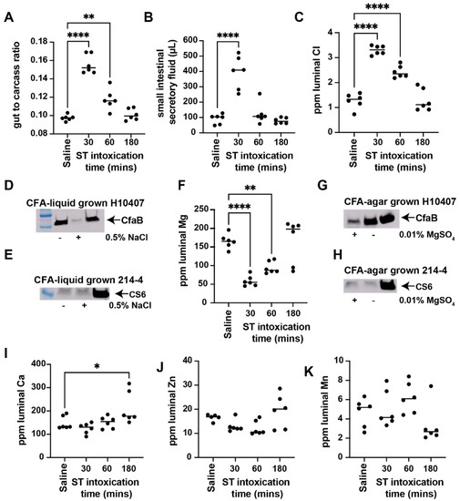Cells | Free Full-Text | Heat-Stable Enterotoxin Secretions Assessed ...