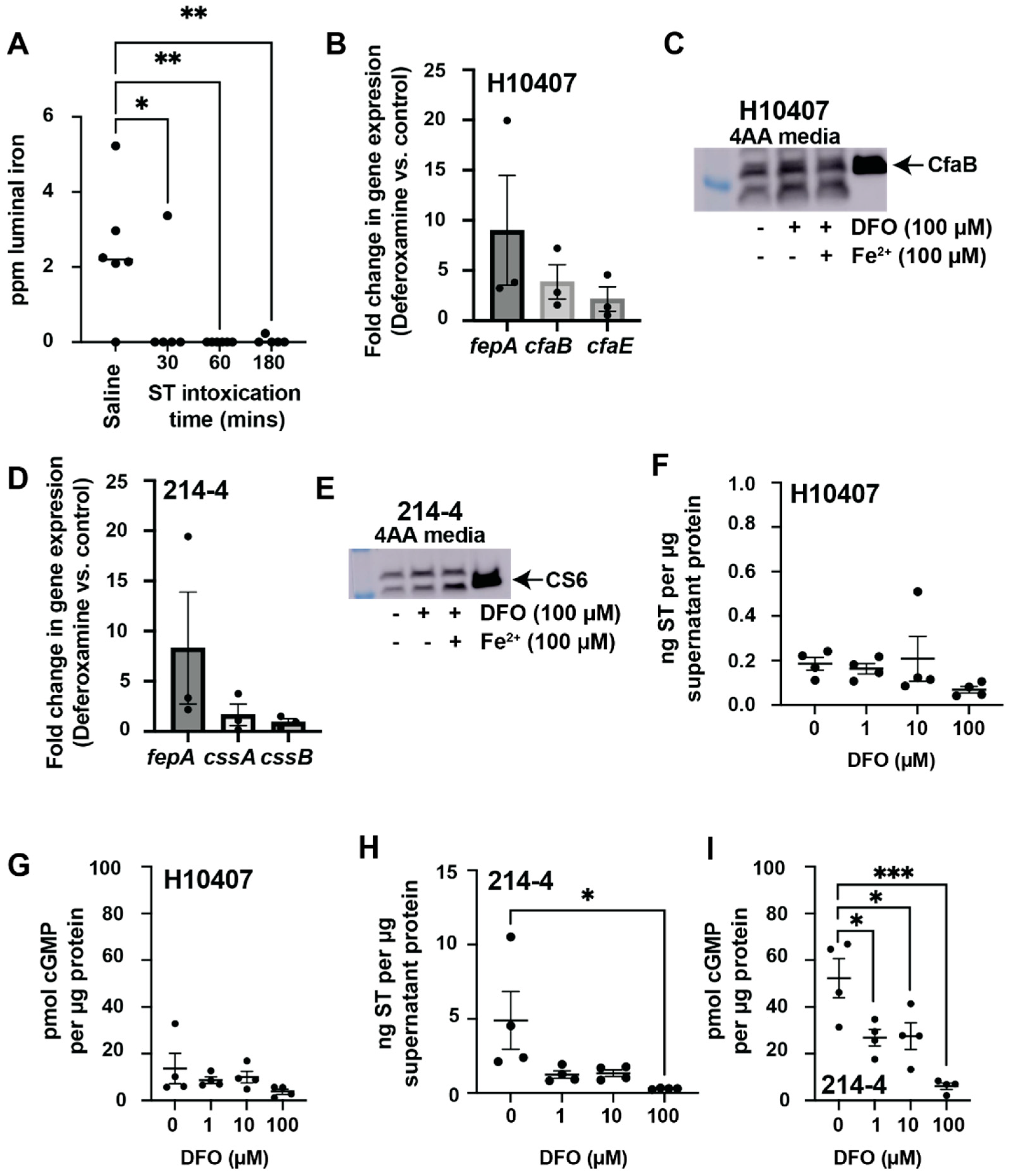 Cells | Free Full-Text | Heat-Stable Enterotoxin Secretions Assessed ...