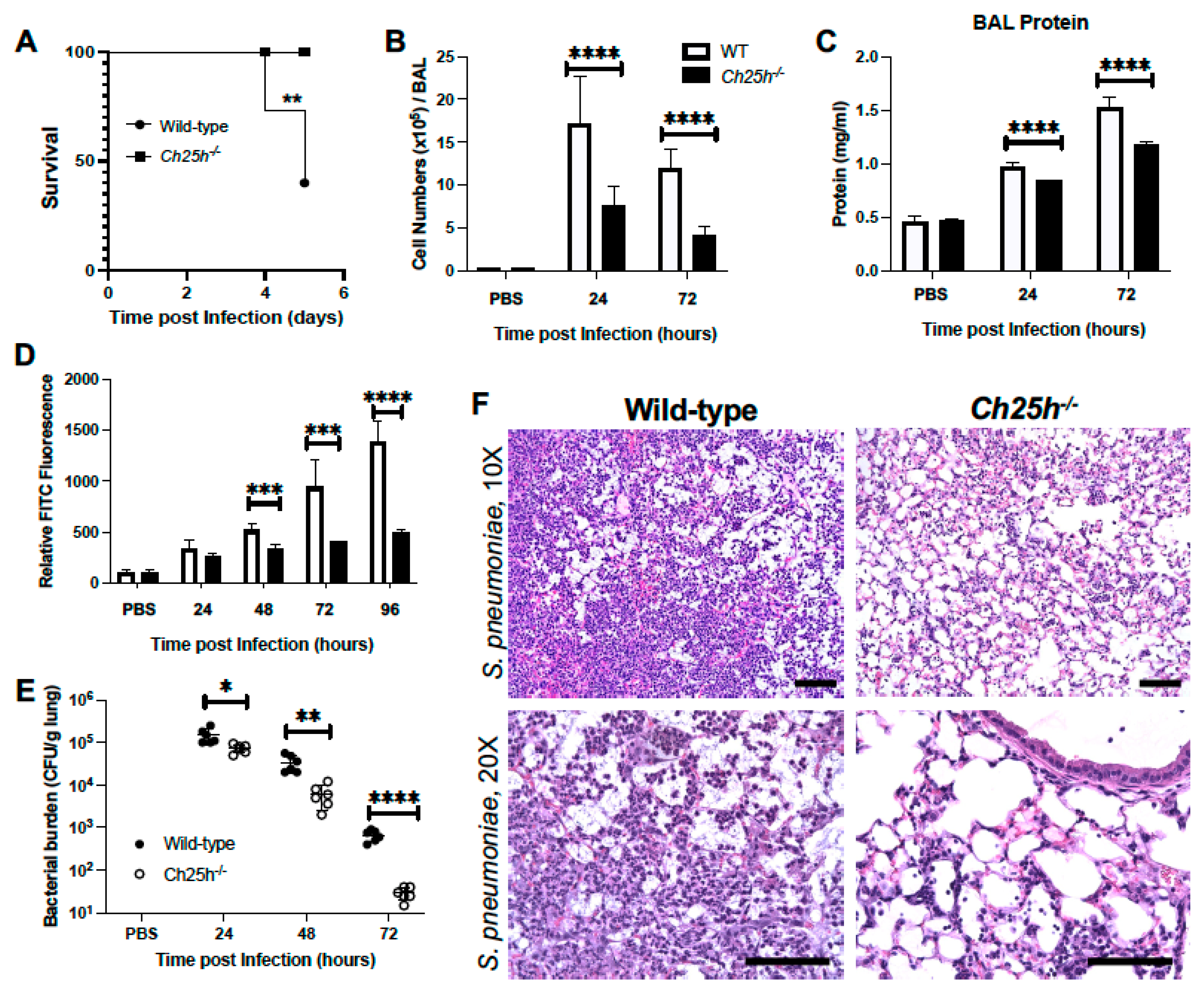 Role of Cholesterol 25-Hydroxylase (Ch25h) in Mediating Innate Immune Responses to Streptococcus ...