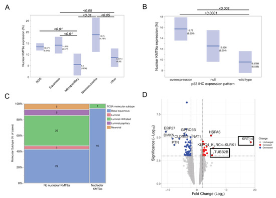 Cells | Free Full-Text | Overexpression of KMT9α Is Associated with ...