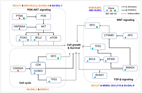 Cells | Free Full-Text | In Silico Identification and Functional ...