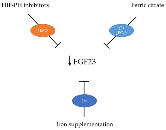 FGF23 in Chronic Kidney Disease: Bridging the Heart and Anemia