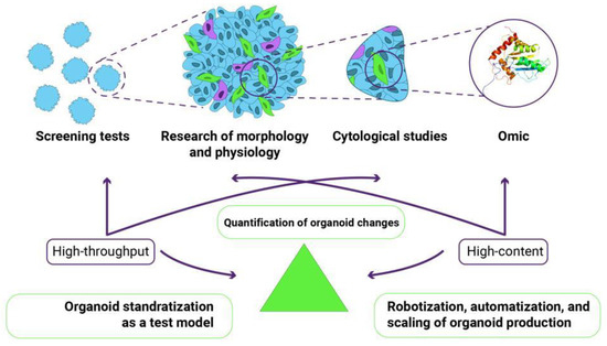 Advantages and Potential Benefits of Using Organoids in Nanotoxicology