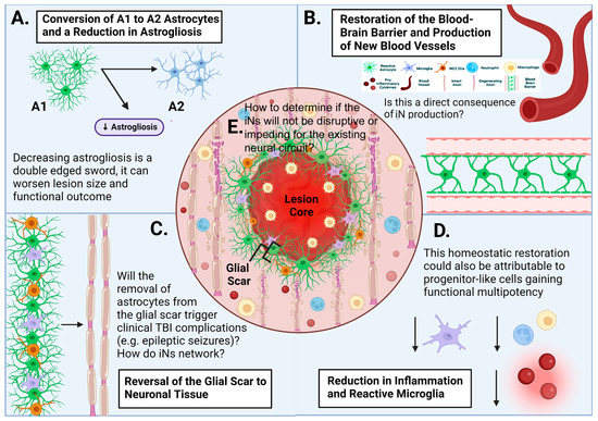 Direct Cell Reprogramming and Phenotypic Conversion: An Analysis of ...