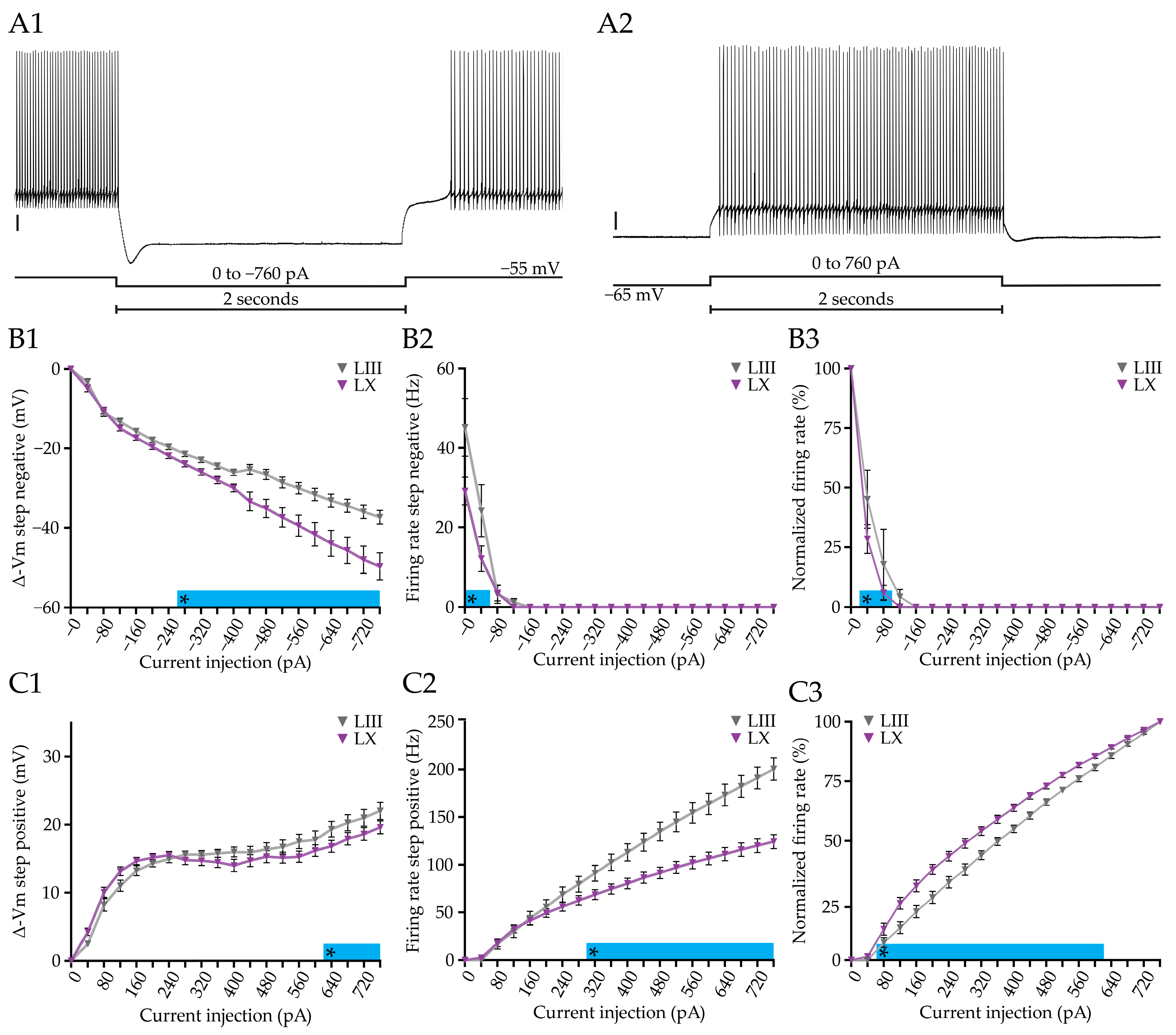 Lobule-Related Action Potential Shape- and History-Dependent Current ...