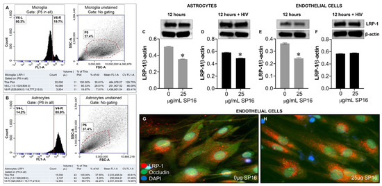 SERPIN-Derived Small Peptide (SP16) as a Potential Therapeutic Agent ...