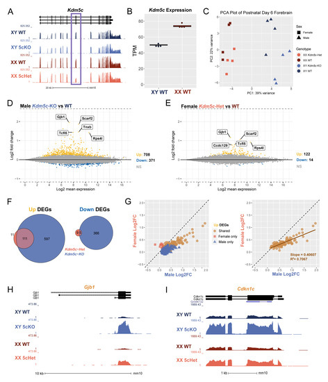 Sexually Dimorphic Alterations in the Transcriptome and Behavior with ...