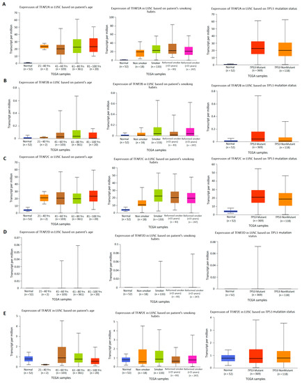 Differential Expression of AP-2 Transcription Factors Family in Lung ...
