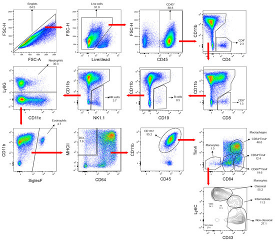 Inflammatory Cell Dynamics after Murine Femoral Artery Wire Injury: A ...