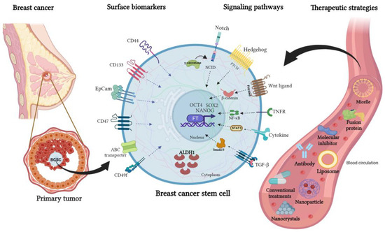 Preclinical and Clinical Trials of New Treatment Strategies Targeting Cancer Stem Cells in ...