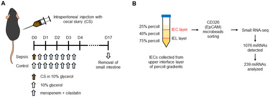 MicroRNA Profiles in Intestinal Epithelial Cells in a Mouse Model of Sepsis