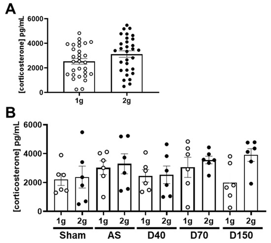 Hypergravity Increases Blood–Brain Barrier Permeability to Fluorescent ...