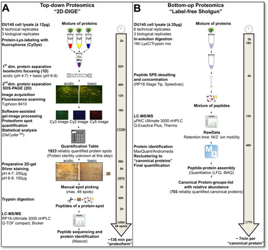 A Practical and Analytical Comparative Study of Gel-Based Top-Down and ...