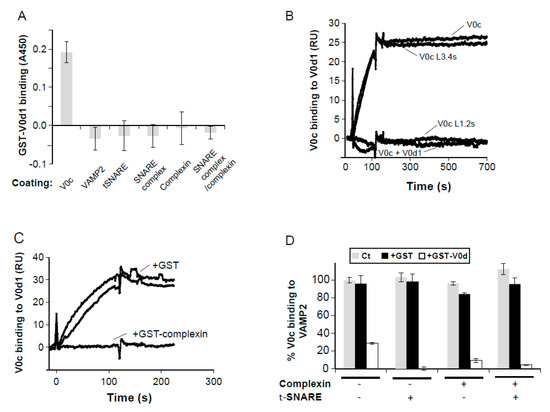 A Role for the V0 Sector of the V-ATPase in Neuroexocytosis: Exogenous ...