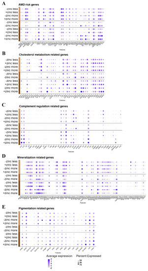 Zinc Supplementation Induced Transcriptional Changes in Primary Human ...