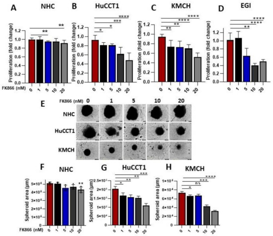 The NAMPT Inhibitor FK866 in Combination with Cisplatin Reduces ...
