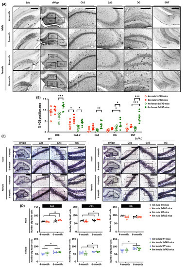 Sex Differences between Neuronal Loss and the Early Onset of Amyloid ...