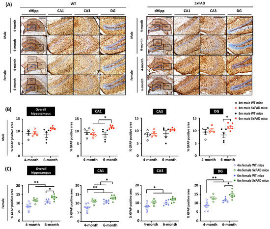 Sex Differences between Neuronal Loss and the Early Onset of Amyloid ...