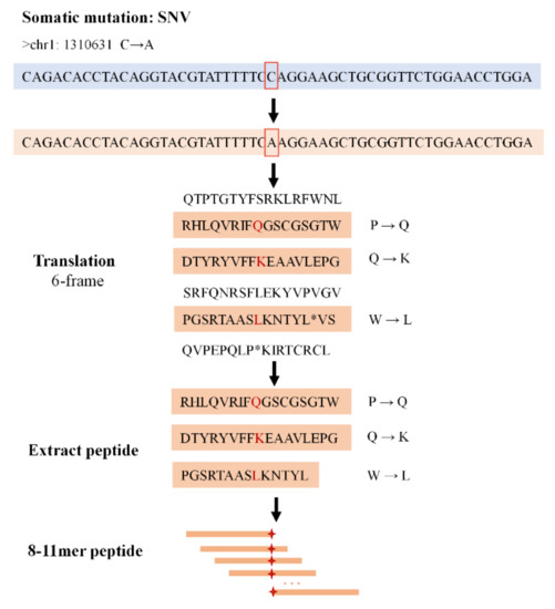 PGNneo: A Proteogenomics-Based Neoantigen Prediction Pipeline in ...