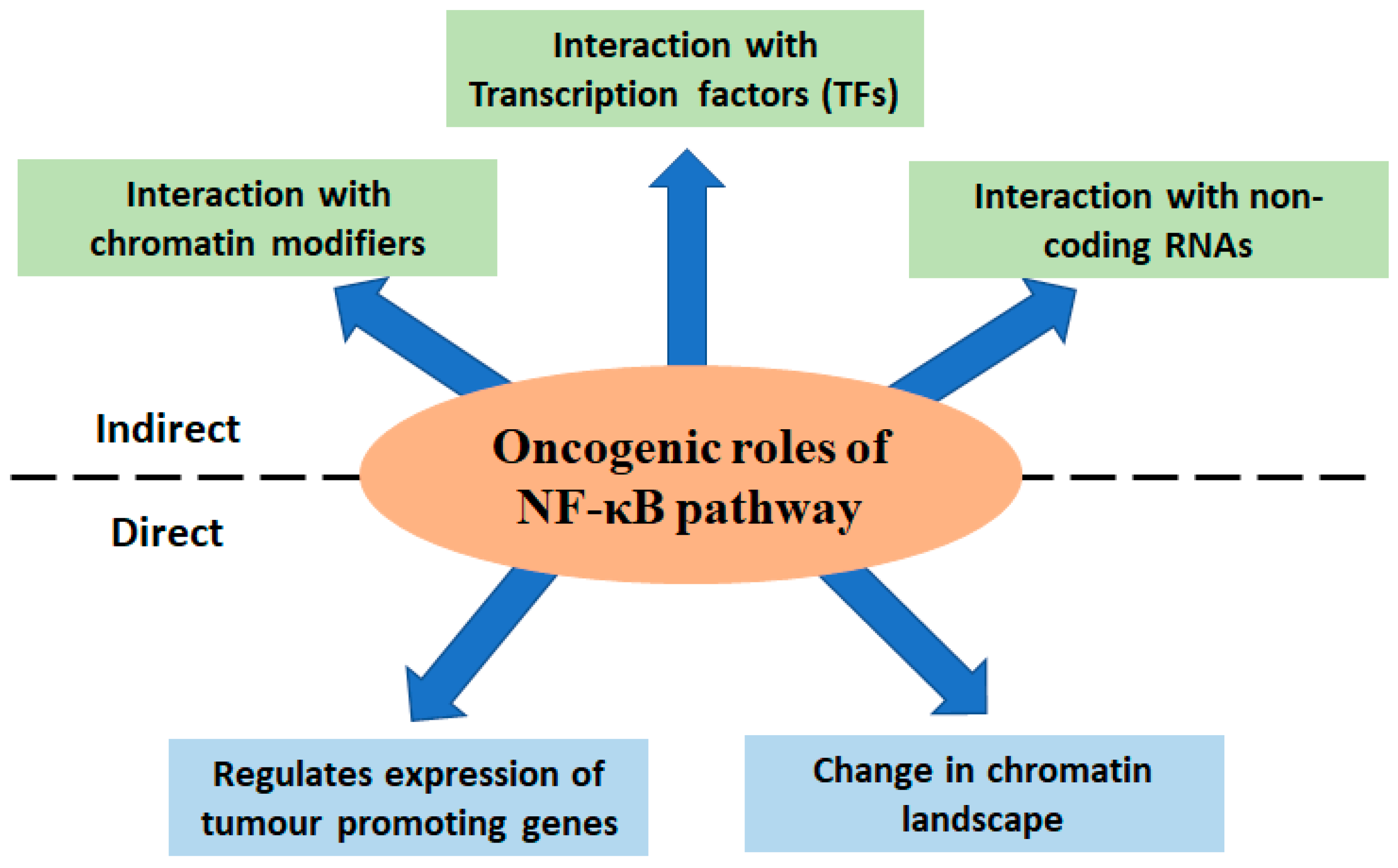 Transcriptional Regulation during Aberrant Activation of NF-κB ...