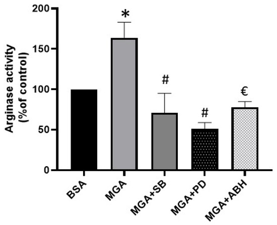 Methylglyoxal-Modified Albumin Effects on Endothelial Arginase Enzyme ...