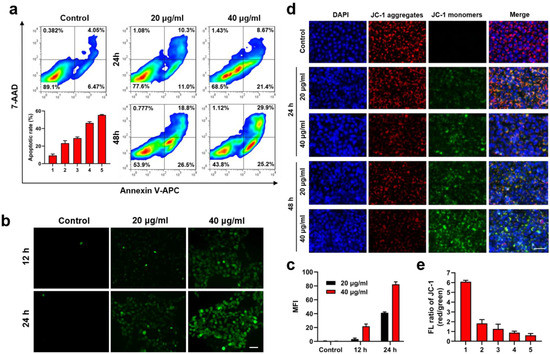 Cells | Free Full-Text | Anticancer Activity of Bitter Melon-Derived ...