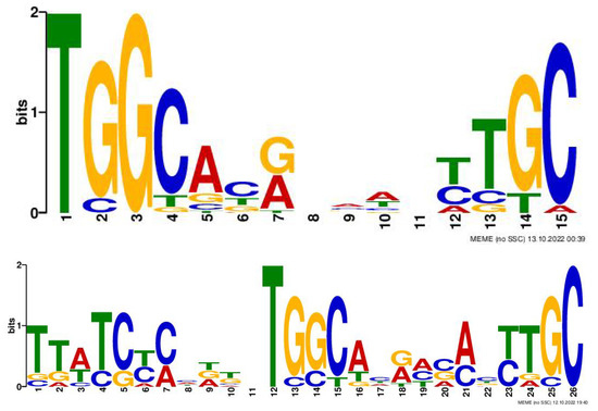 iProm-Sigma54: A CNN Base Prediction Tool for σ54 Promoters