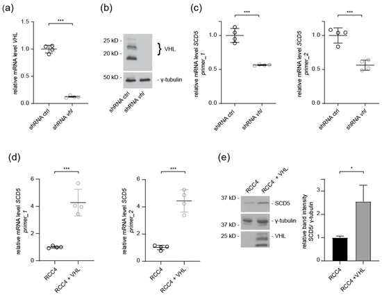 SCD5 Regulation by VHL Affects Cell Proliferation and Lipid Homeostasis ...