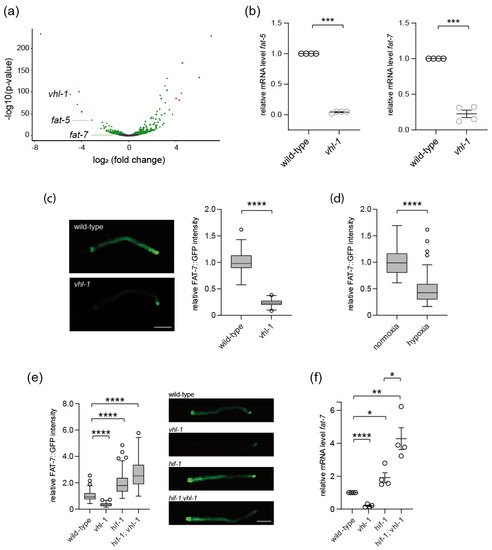SCD5 Regulation by VHL Affects Cell Proliferation and Lipid Homeostasis ...
