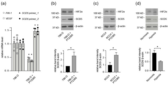 SCD5 Regulation by VHL Affects Cell Proliferation and Lipid Homeostasis in ccRCC