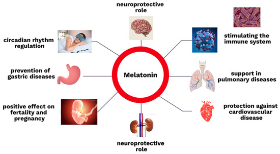 Melatonin Treatment in Kidney Diseases