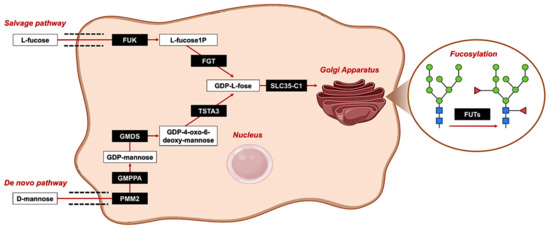 Targeting Post-Translational Modifications to Improve Combinatorial ...