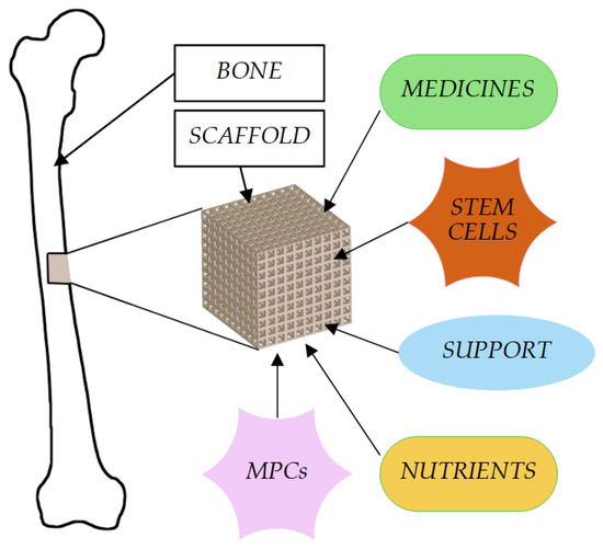 Cells | Free Full-Text | Application of 3D Printing in Bone Grafts