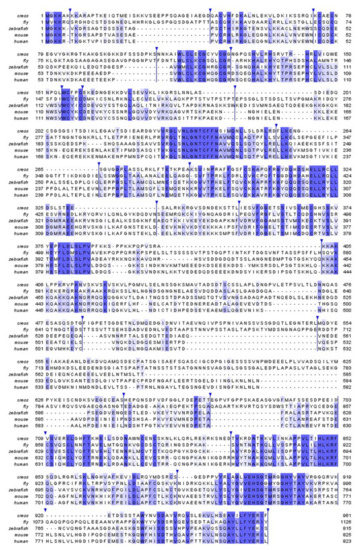 The Pleiotropic Ubiquitin-Specific Peptidase 16 and Its Many Substrates