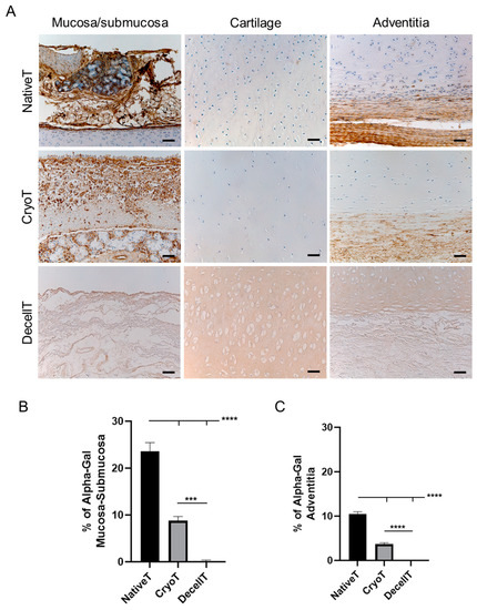 Development and In Vitro/In Vivo Comparative Characterization of ...