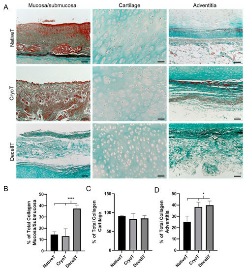 Development and In Vitro/In Vivo Comparative Characterization of ...