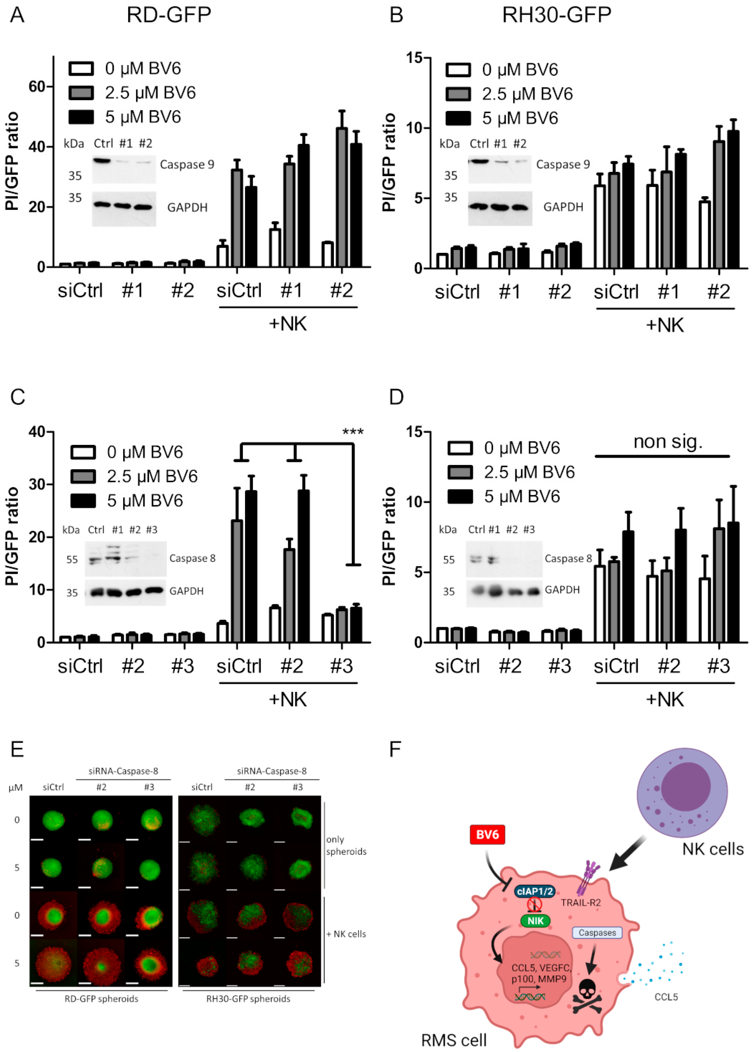 Characterization of BV6-Induced Sensitization to the NK Cell Killing of ...