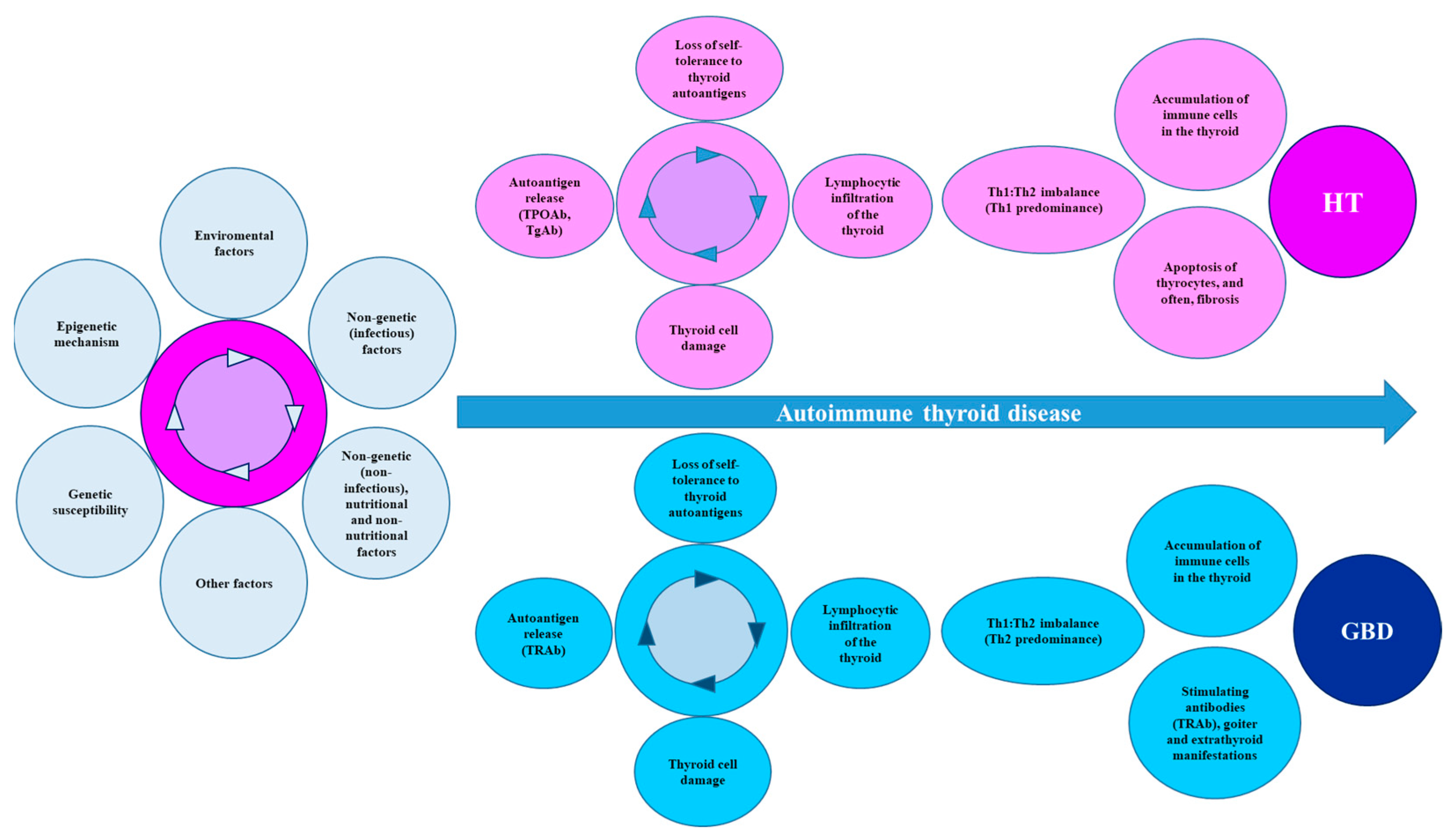 Molecular Mechanisms in Autoimmune Thyroid Disease