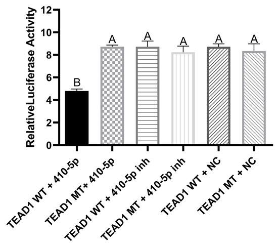 The Molecular Mechanism of the TEAD1 Gene and miR-410-5p Affect ...