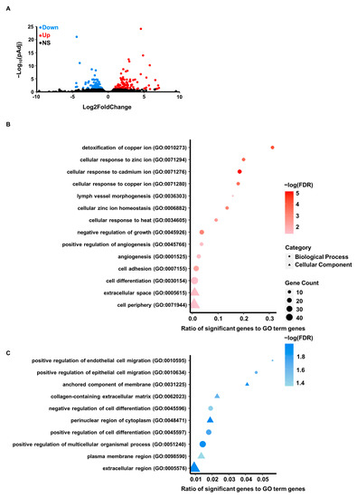 Genomic Redistribution of Metal-Response Transcription Factor-1 (MTF-1 ...