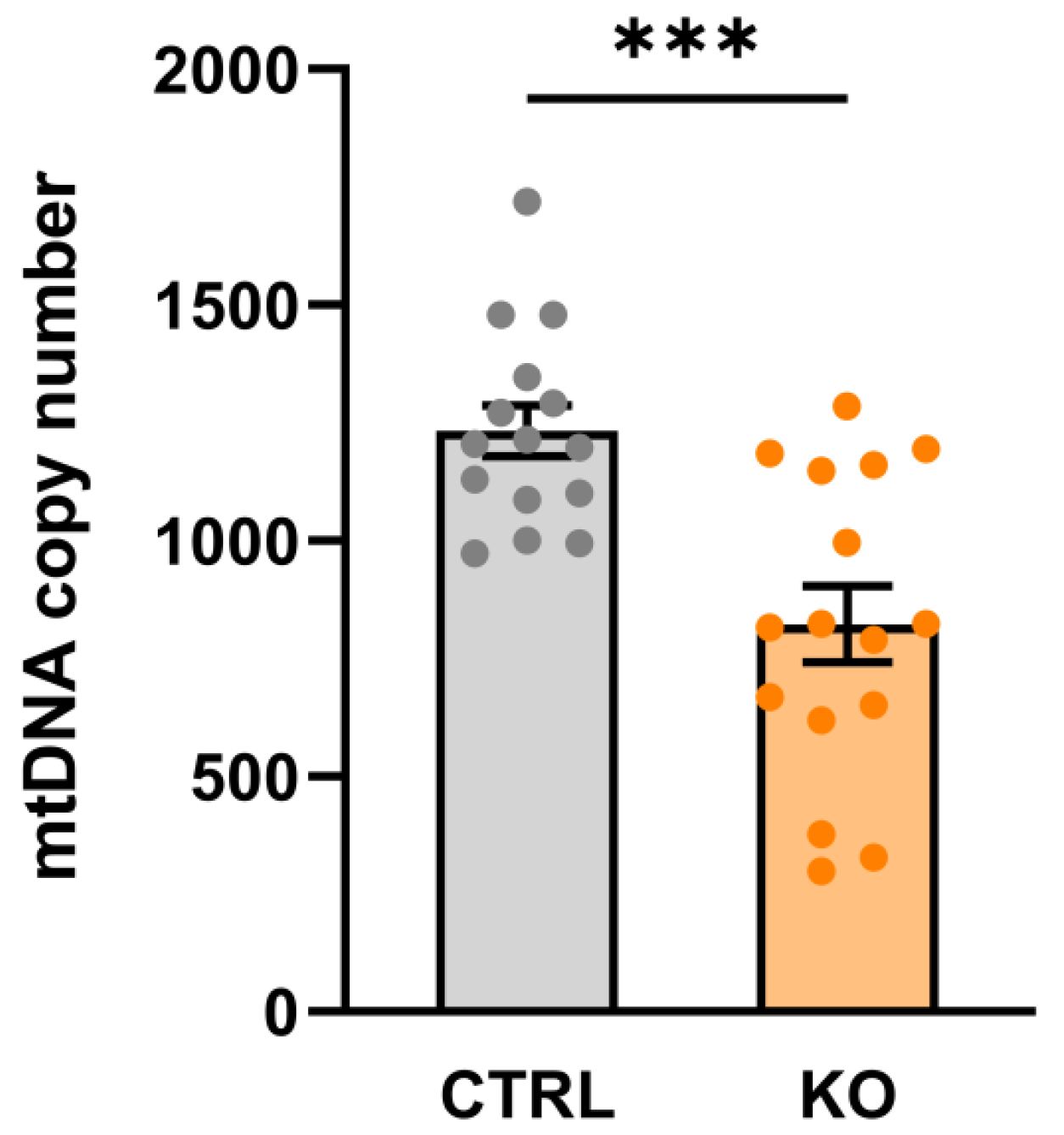 Impact of Translocator Protein 18 kDa (TSPO) Deficiency on ...