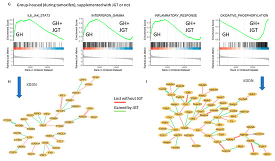 Cells | Free Full-Text | Social Isolation Activates Dormant Mammary ...
